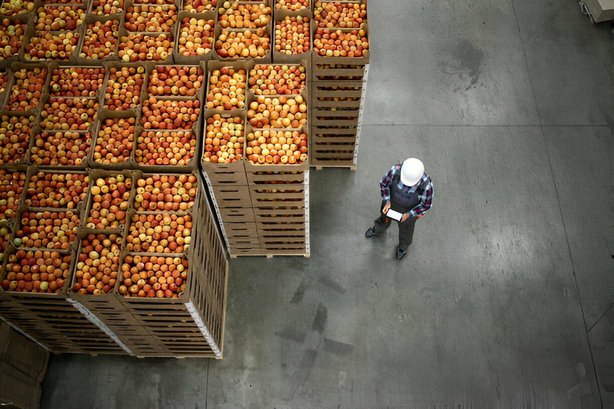 Feeding the Nation: How Chicago's Food Manufacturing Industry Shapes A ...